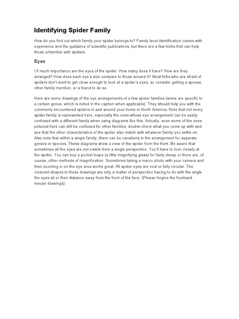 Identifying Spider Family | PDF | Spider | Predators