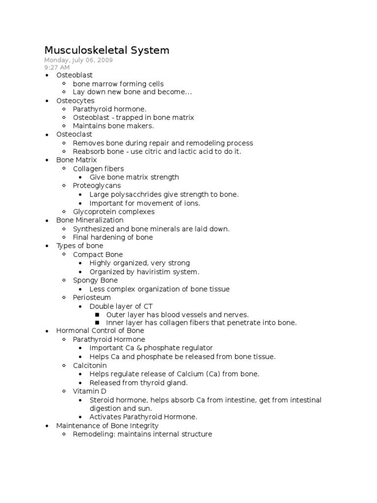 Musculoskeletal System | PDF | Osteoblast | Bone