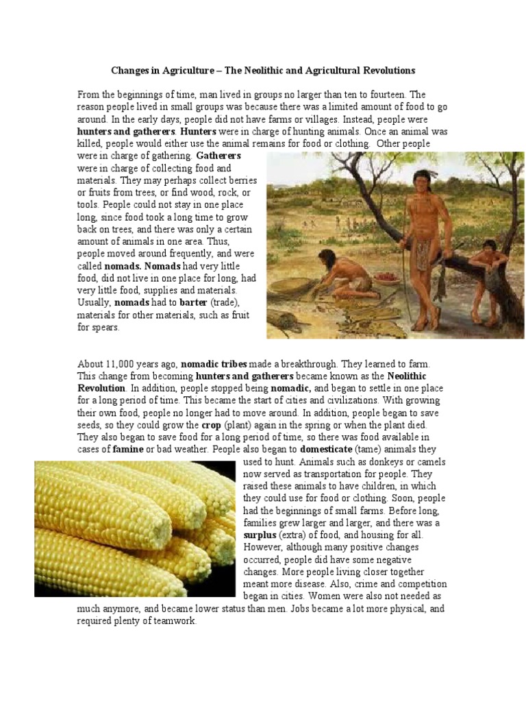 Neolithic and Agricultural Revolution Classwork | PDF | Agriculture | Foods