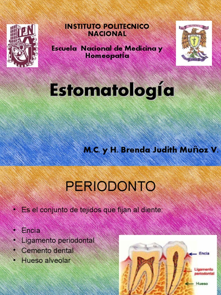 Anatomía del Periodonto y sus Componentes | PDF | Hueso | Epitelio
