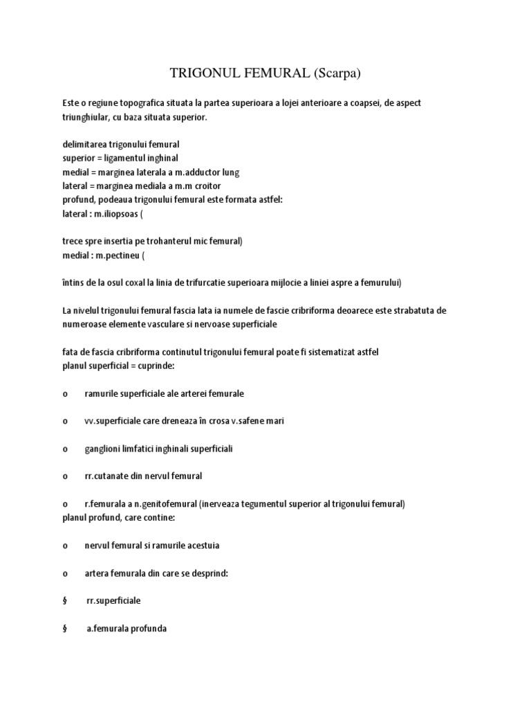 Trigonul Femural | PDF