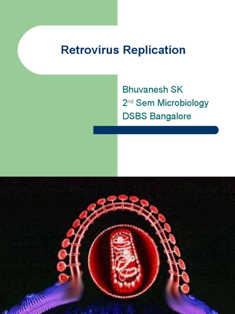 Retrovirus Replication by Bhuvanesh Kalal | PDF | Reverse Transcriptase ...