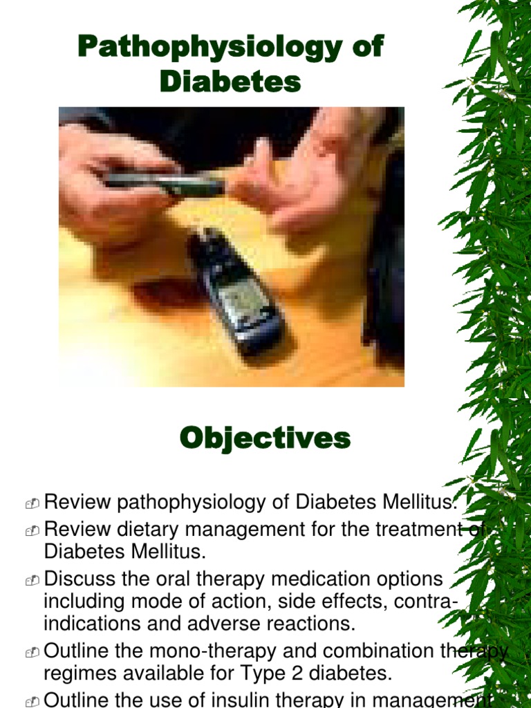 Pathophysiology of Diabetes | PDF | Diabetes Mellitus Type 2 | Diabetes ...