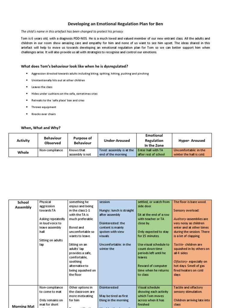 Emotional Regulation Plan | Autism | Emotional Self Regulation