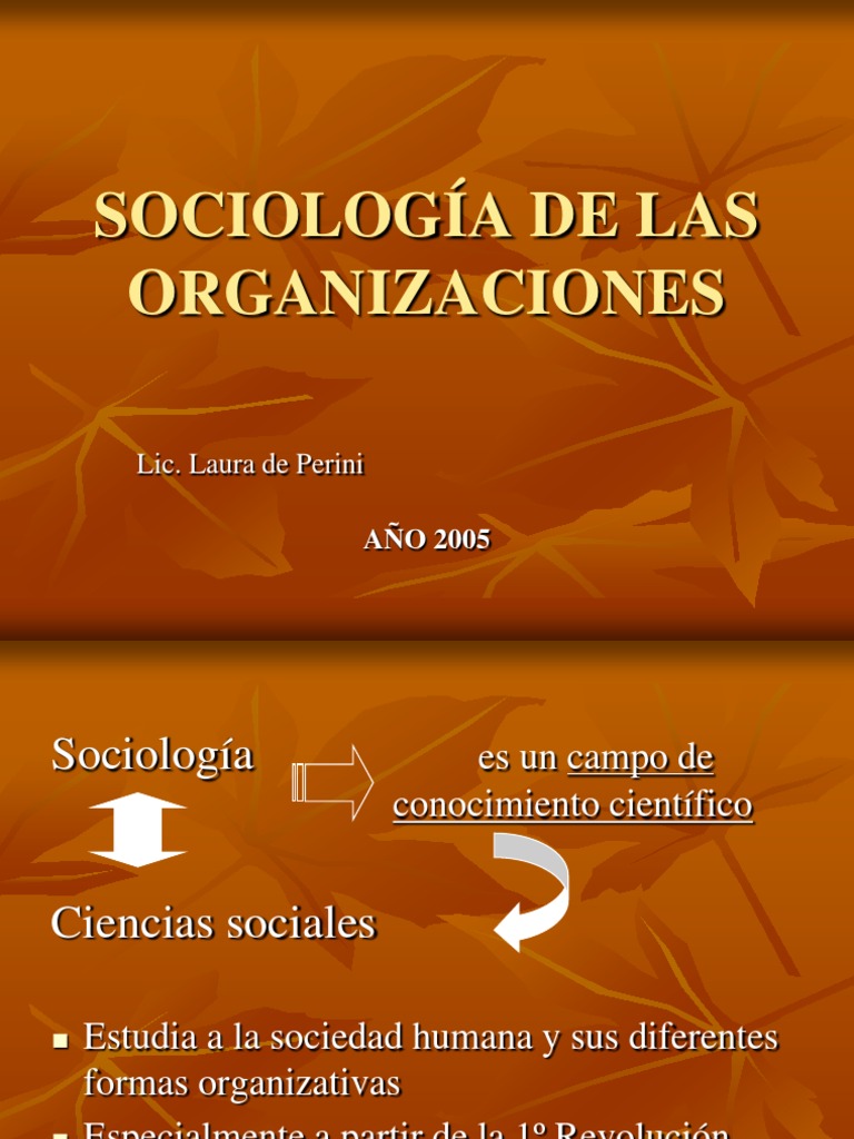 Sociologia de Las Organizaciones | Descargar gratis PDF | Sociología | Sociedad