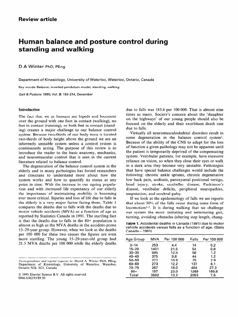 Winter 95 Gait&Posture | PDF | Balance (Ability) | Anatomical Terms Of ...