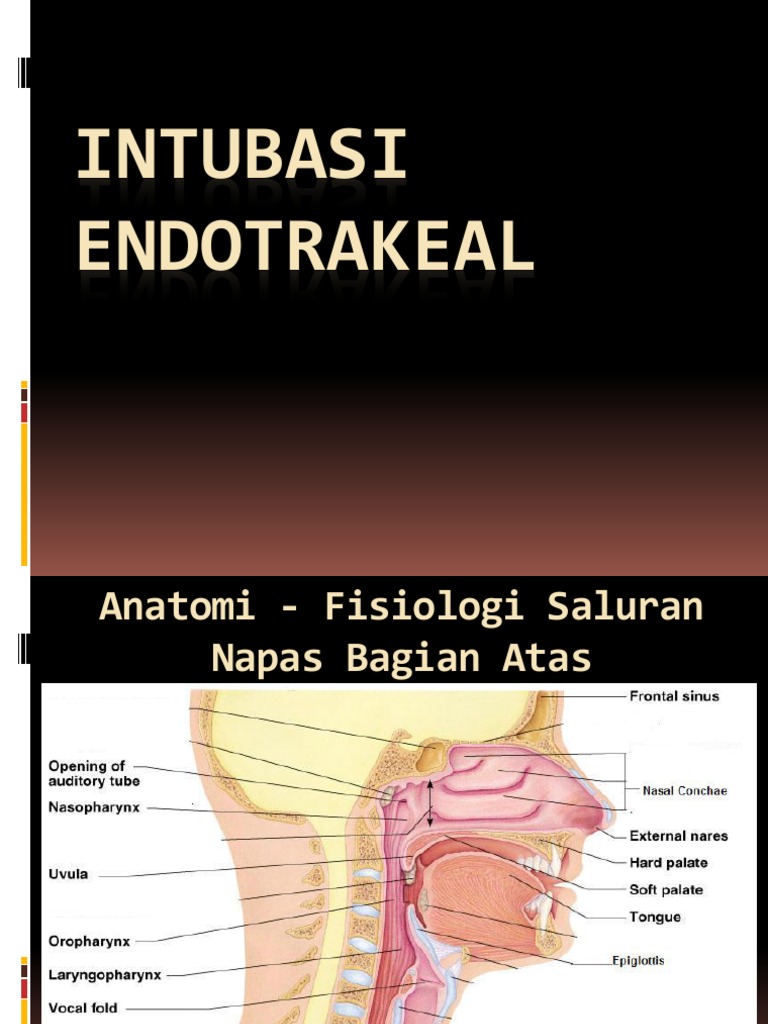 Panduan Lengkap Intubasi Endotrakeal | PDF
