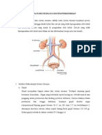 Pemahaman Tractus Urinaria dan Fisiologinya | PDF