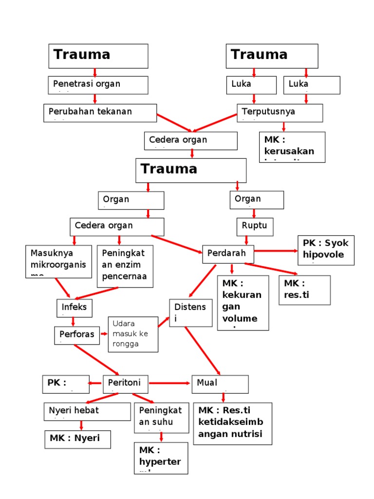 Woc Trauma Abdomen | PDF