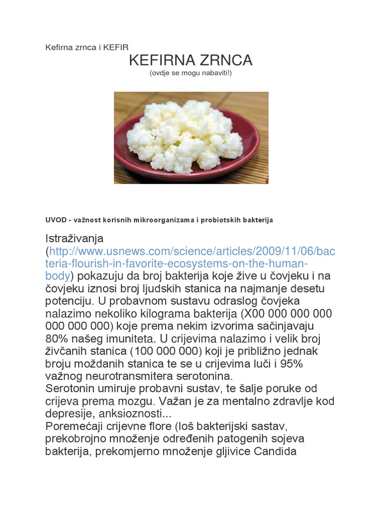 Kefirna Zrnca I KEFIR | PDF