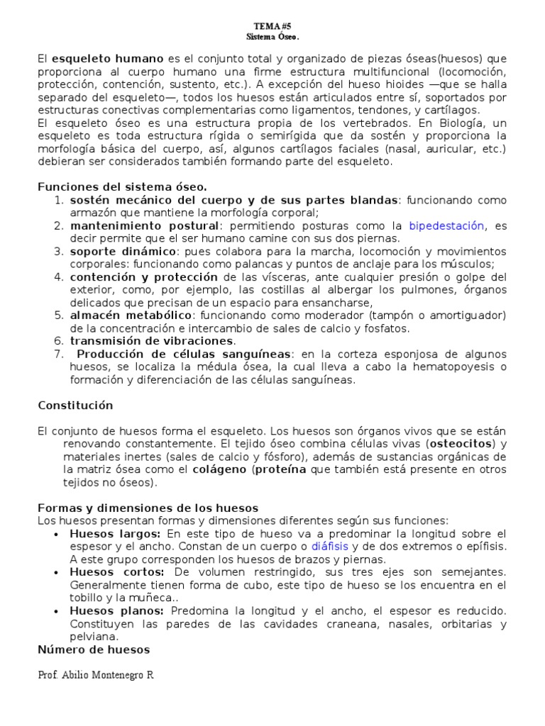 Funciones y Estructura del Sistema Óseo | PDF | Hueso | Articulación