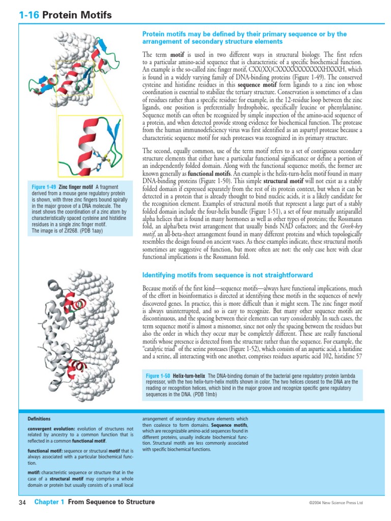 MOTIVS | PDF | Protein Domain | Structural Motif
