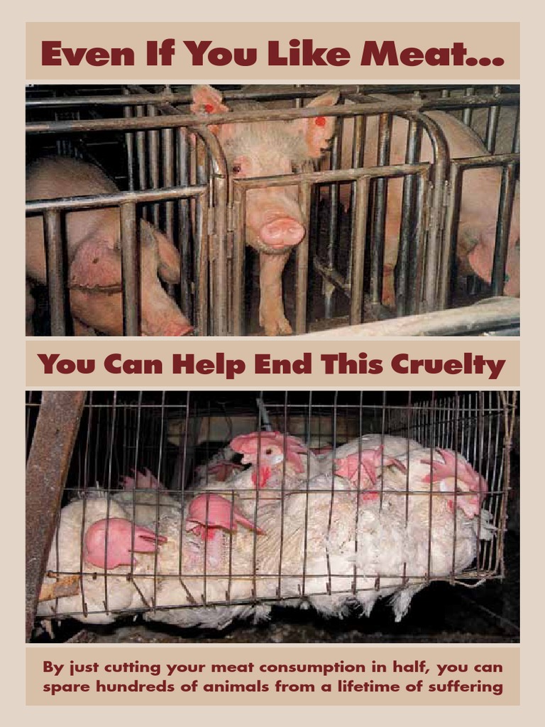 Even If You Like Meat : You Can Help End This Cruelty | PDF | Poultry ...