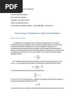 Estructura FCC: Características y Metales | PDF | Estructura cristalina ...