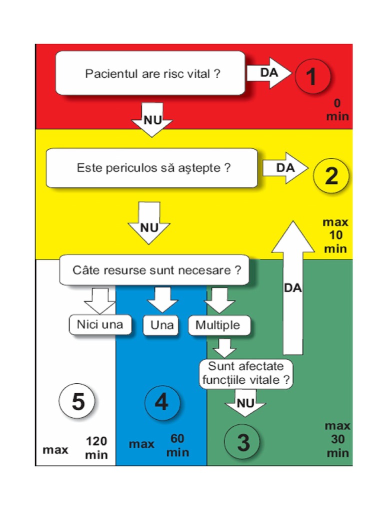 Algoritm de Triaj | PDF
