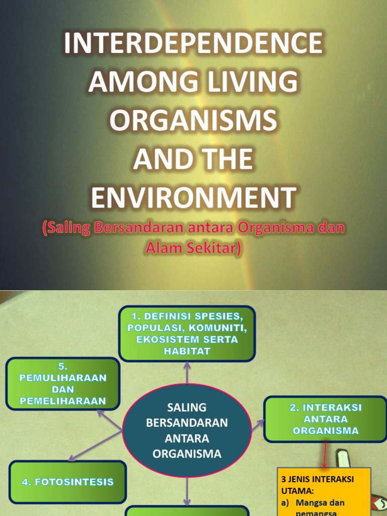 Chapter 4 Form 2 (Interdependence Among Living Things) | PDF