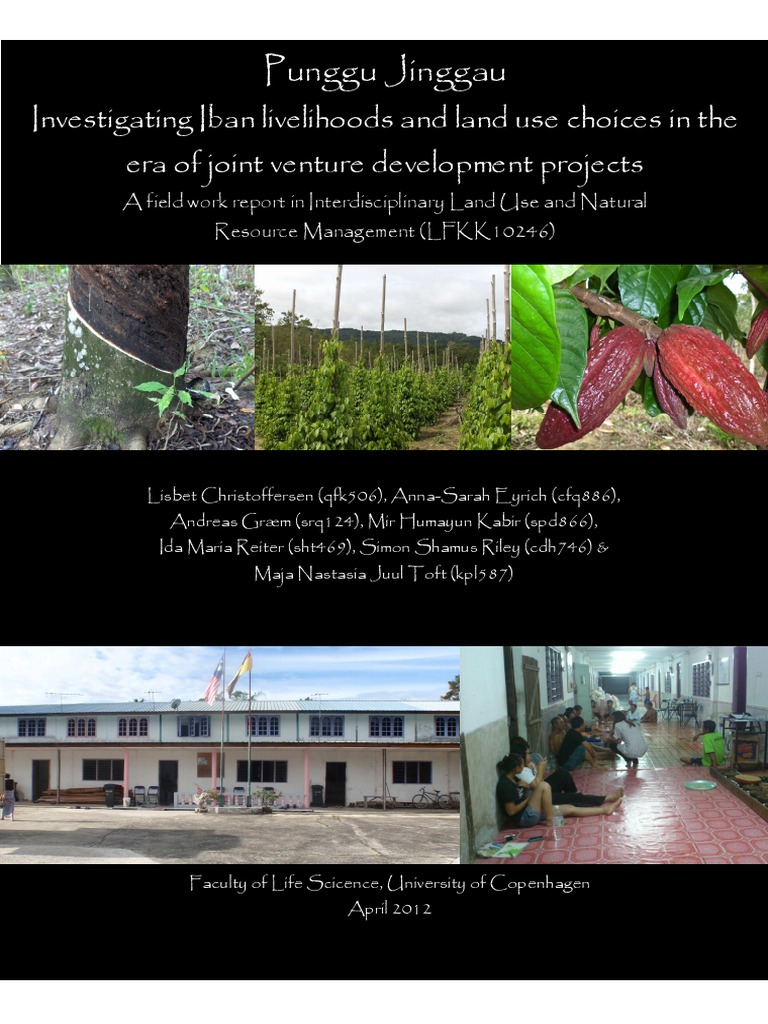 Punggu Jinggau Final Report | PDF | Sarawak | Soil