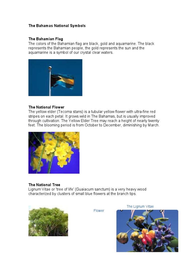 Bahamas National Symbols Overview | PDF | The Bahamas | Symbols