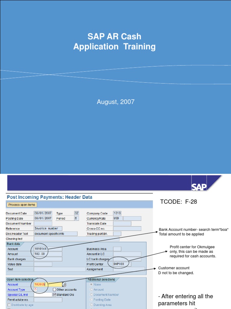 SAP Cash Application | PDF