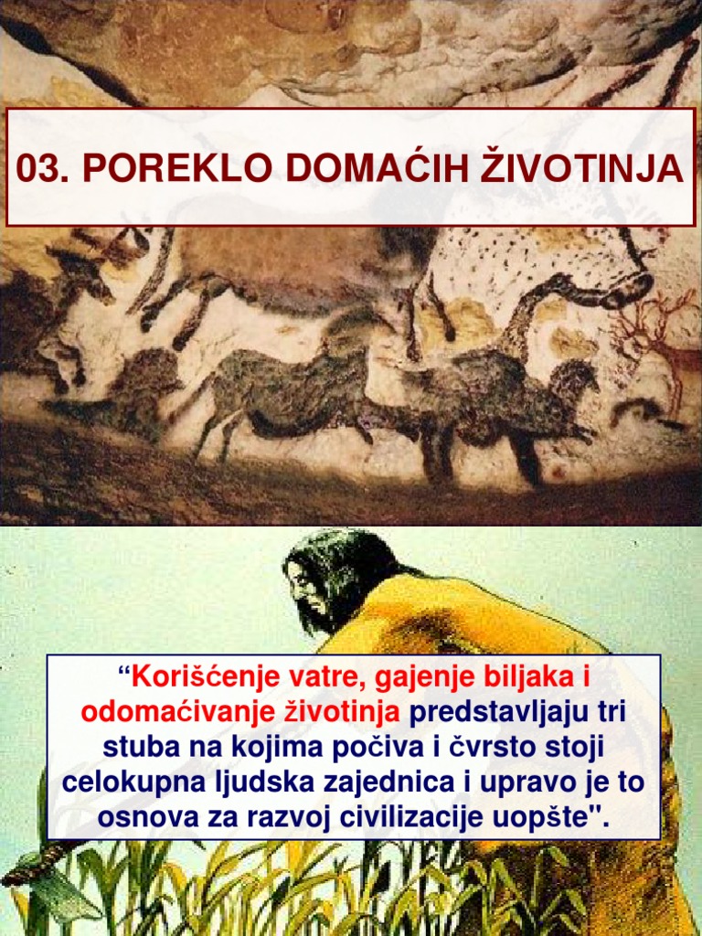 03 Poreklo Domacih Zivotinja | PDF