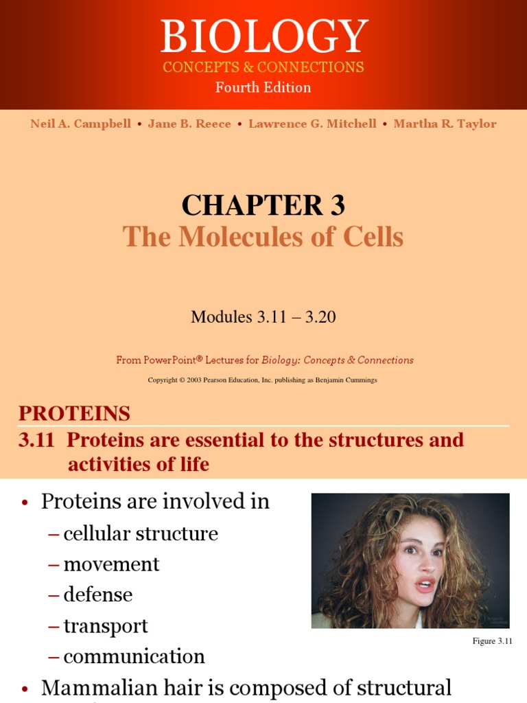 033 Molecules of Cells | PDF | Biomolecular Structure | Nucleic Acids