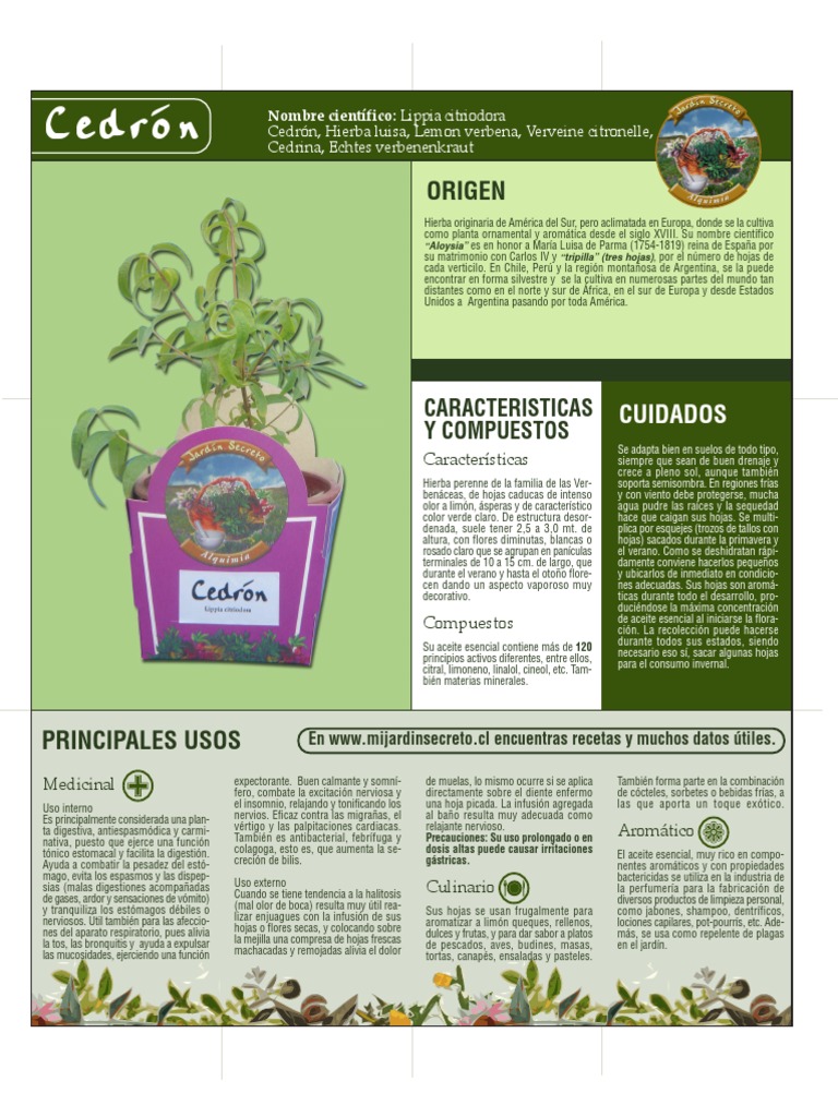 Origen Del Cedron | PDF | Plantas | Naturaleza