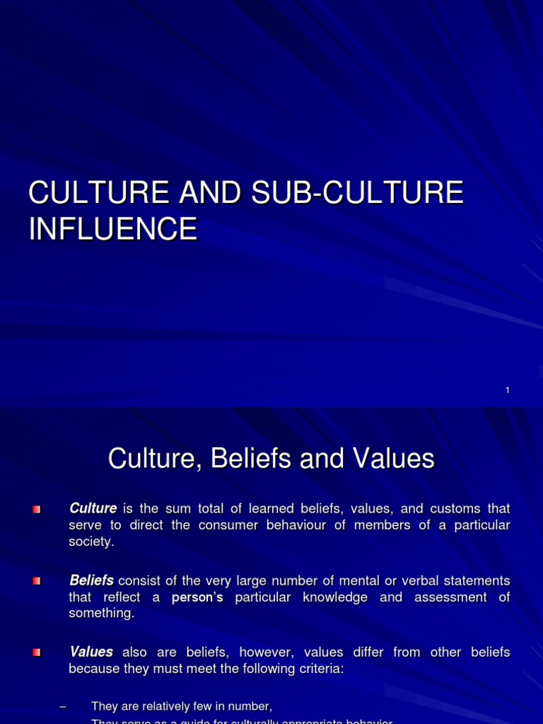 Culture and Sub-Culture Influence | PDF | Consumer Behaviour | Marketing