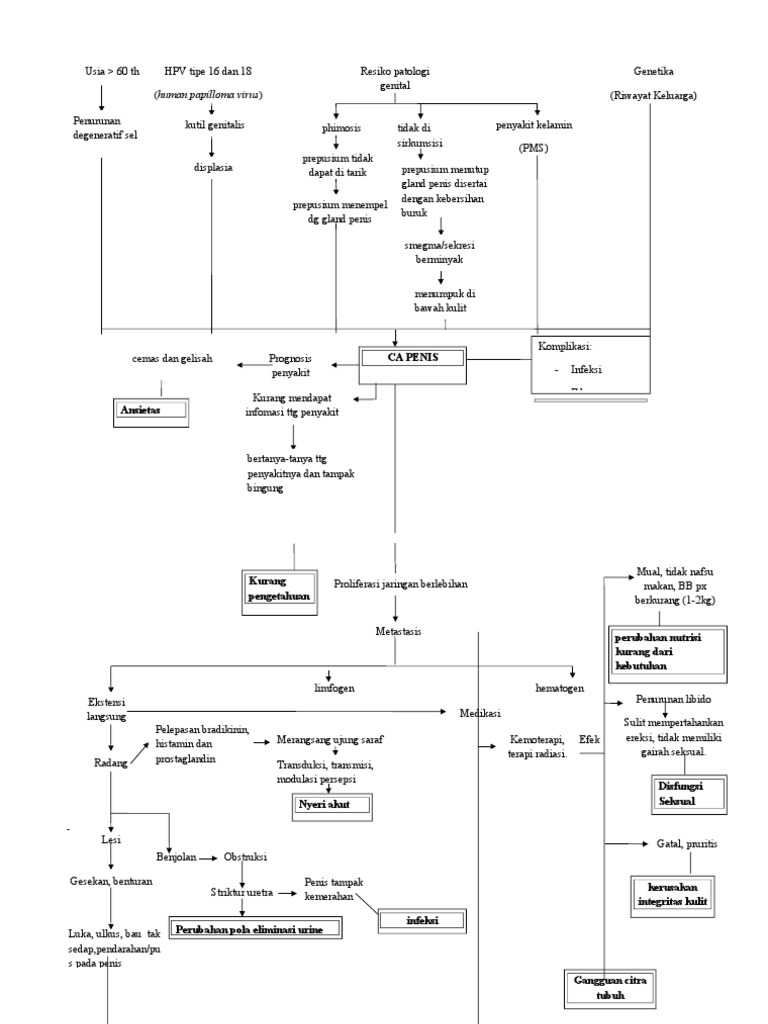 2 Woc CA Penis | PDF | Ilmu Sosial | Kesehatan Holistik