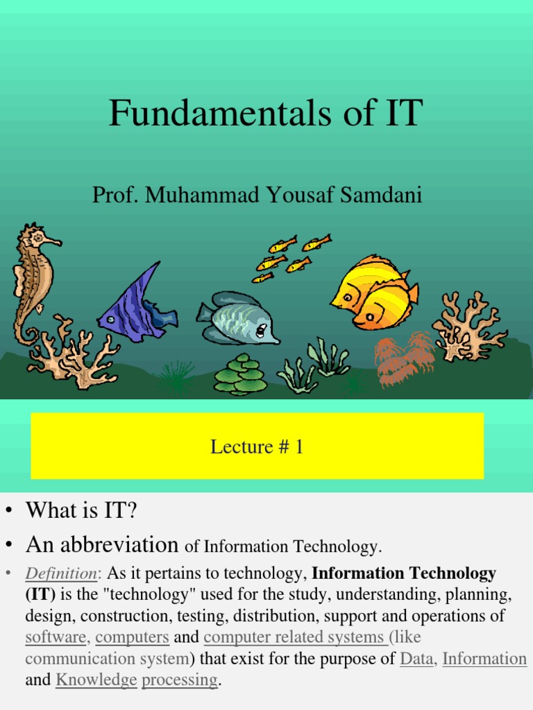 Fundamentals of IT: Prof. Muhammad Yousaf Samdani | PDF | Information Technology | Computer Science