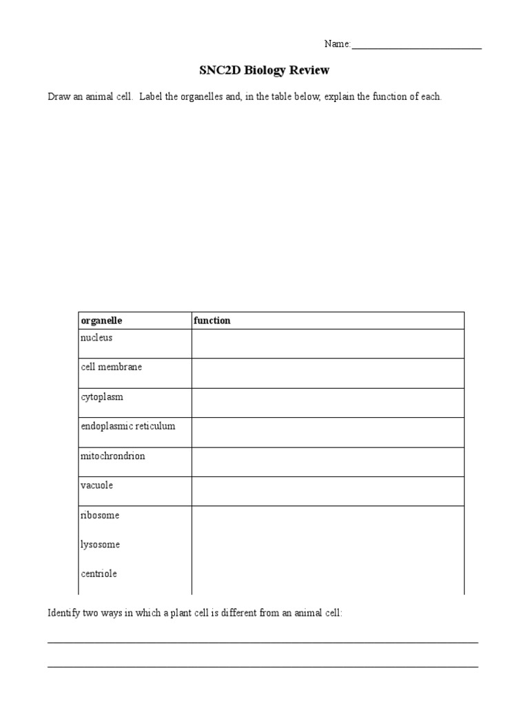 grade-10-biology-exam-review-pdf