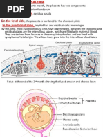 Neonatal Respiration Physiology | PDF | Lung | Hemoglobin