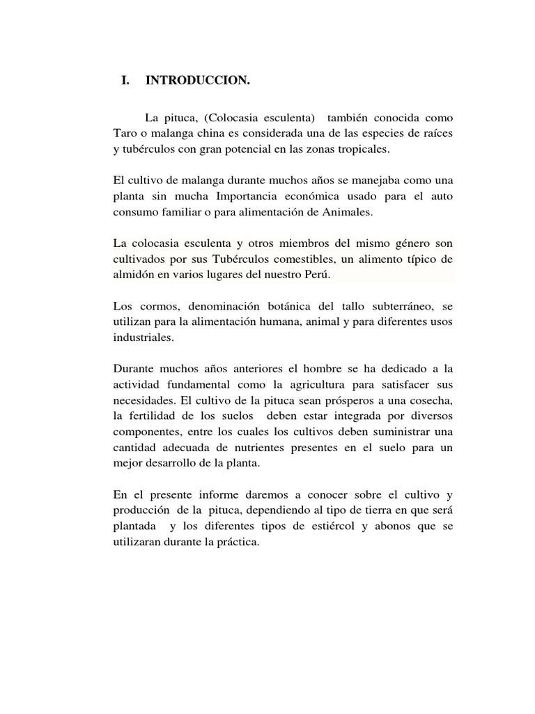 Practica de Cultivo de La Pituca o Colocasia Esculenta | PDF ...