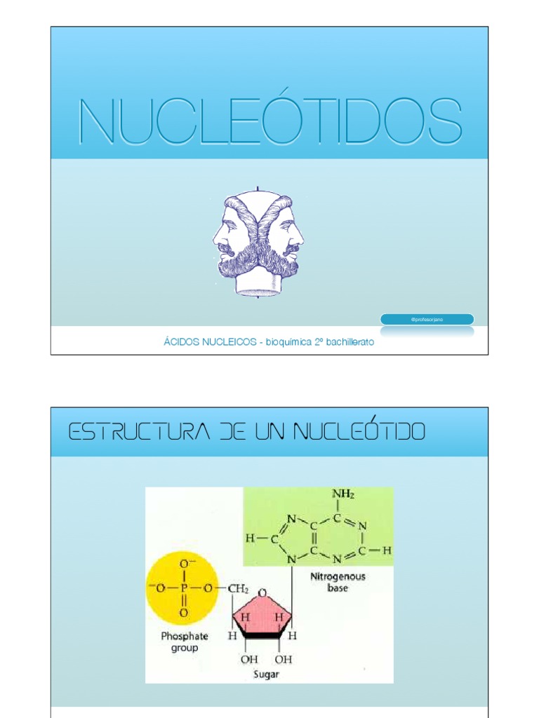 2014 Nucleotidos | PDF | Ciencia y matemáticas