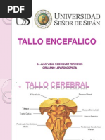 El Colículo Superior | PDF | Anatomía humana | Neurociencia