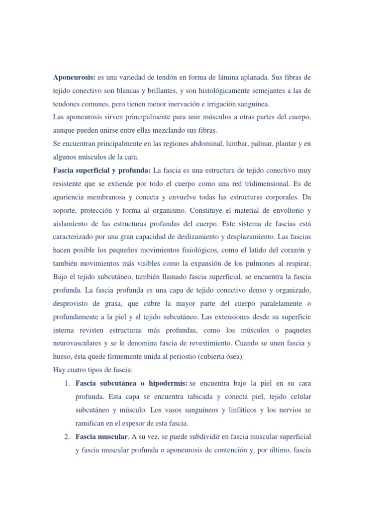 Aponeurosis | PDF | Tejido conectivo | Músculo