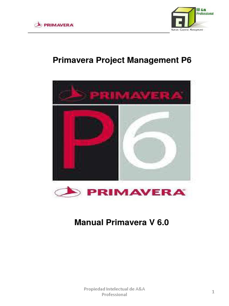 Manual p6 A&a Taller | PDF | Point and Click | Calendario