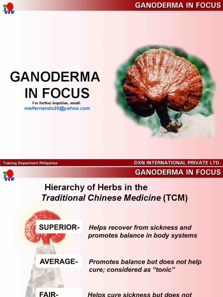 Ganoderma in Focus - MEL | PDF | Traditional Chinese Medicine | Medical ...