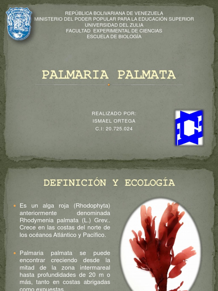 Palmaria Palmata | PDF | Algas | Nomenclatura botánica