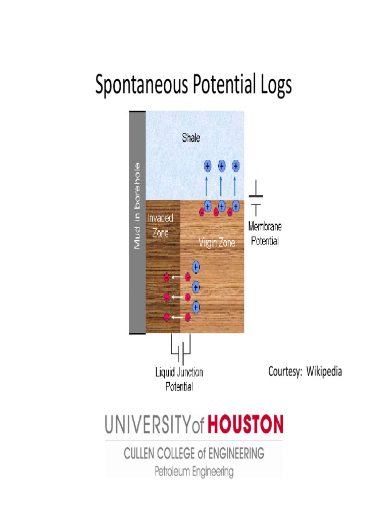 Spontaneous Potential Log | PDF