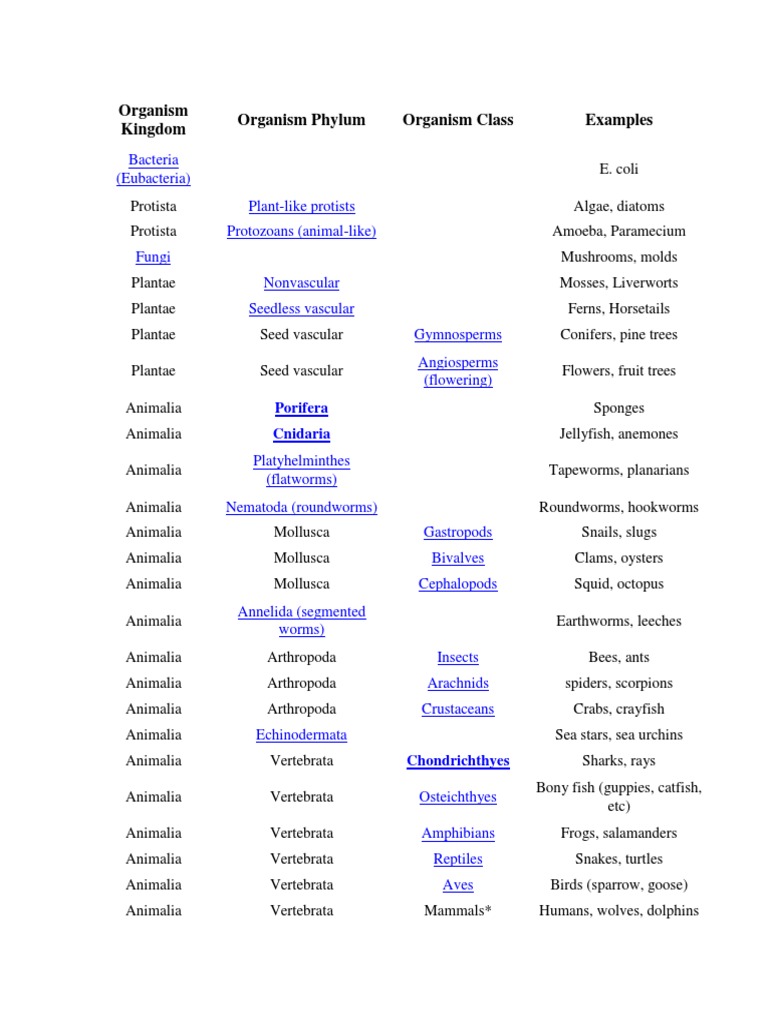 Overview of Organism Kingdoms and Classes | PDF | Home & Garden ...