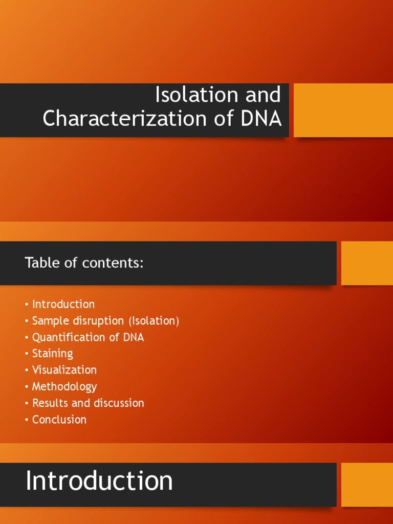 Isolation And Characterization Of Dna Gel Electrophoresis Dna