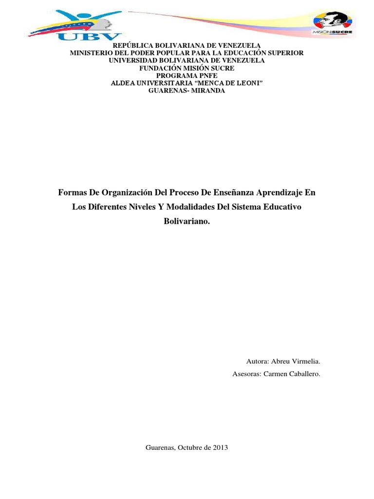 Formas de Organización Del Proceso de Enseñanza Aprendizaje en Los ...