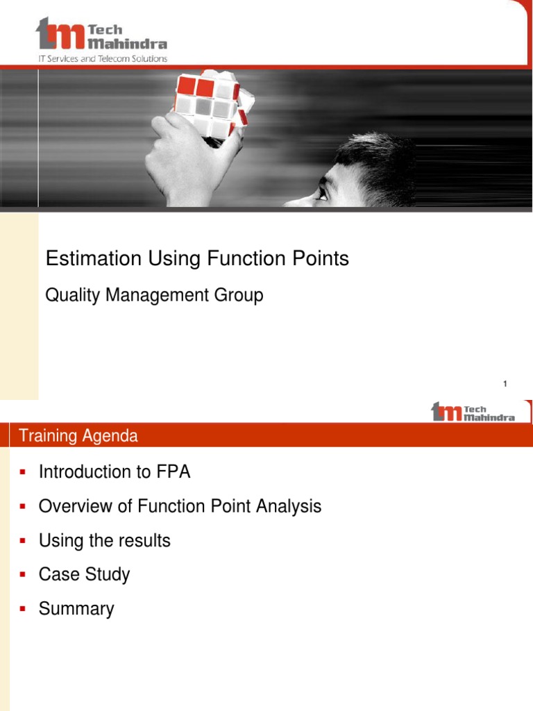 Function Point Analysis Pdf Input Output Computer File