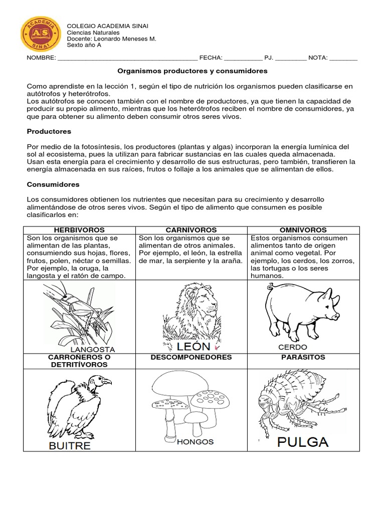 Organismos Productores y Descomponedores | Descomposición | Suelo