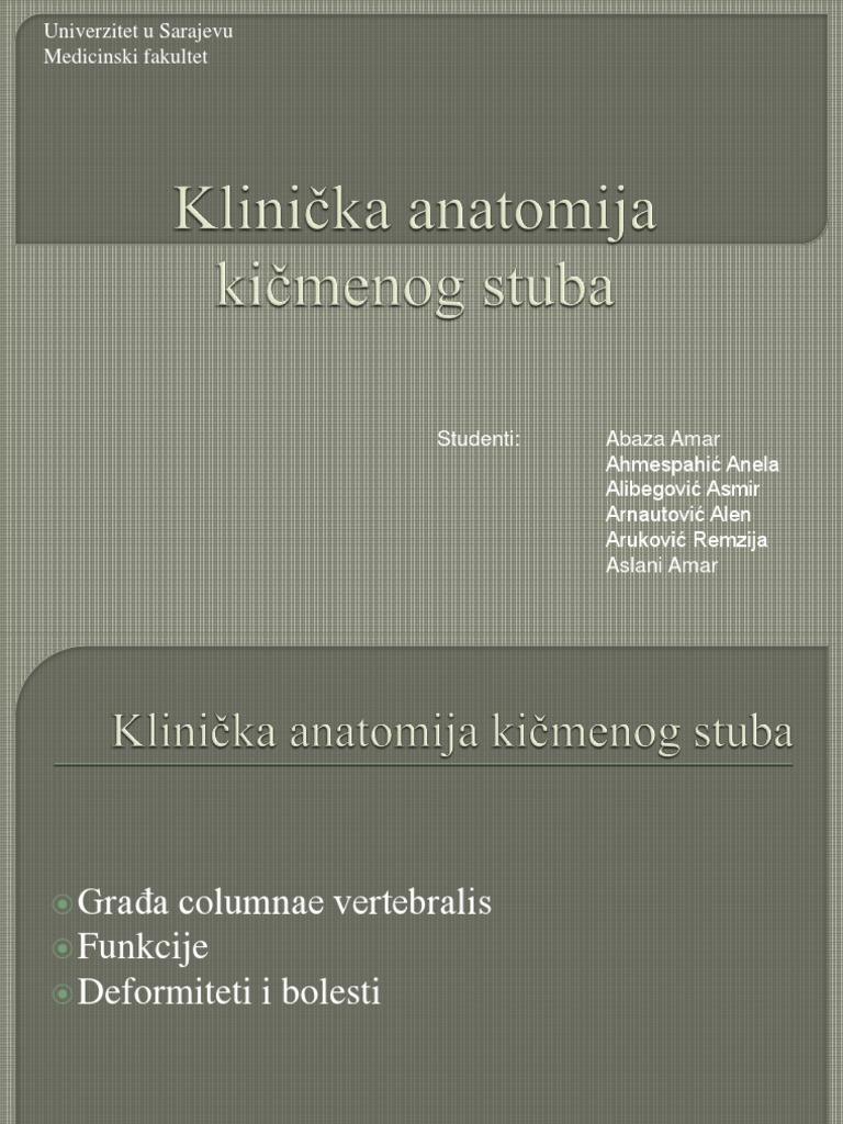 Klinička Anatomija Kičmenog Stuba | PDF