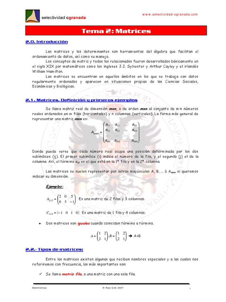 Tema 2 - MII - Matrices | PDF