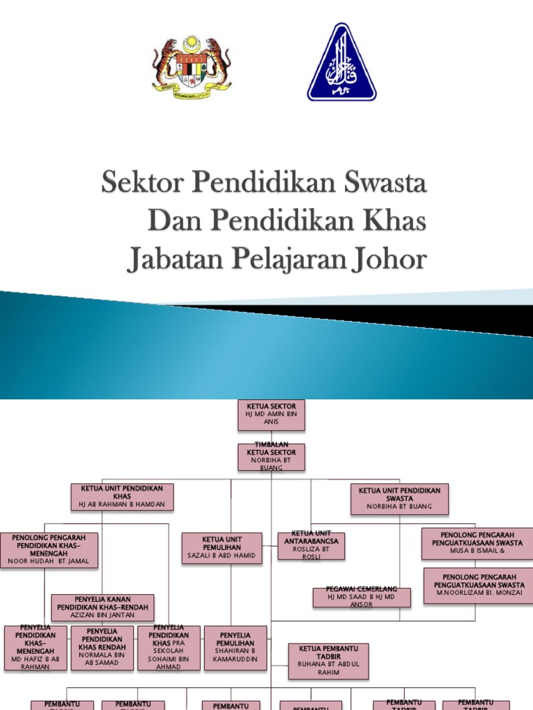 Sektor Pendidikan Swasta Dan Pendidikan Khas | PDF