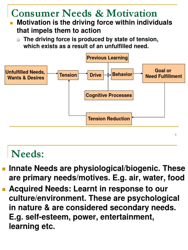 Consumer Needs Motivation Pdf