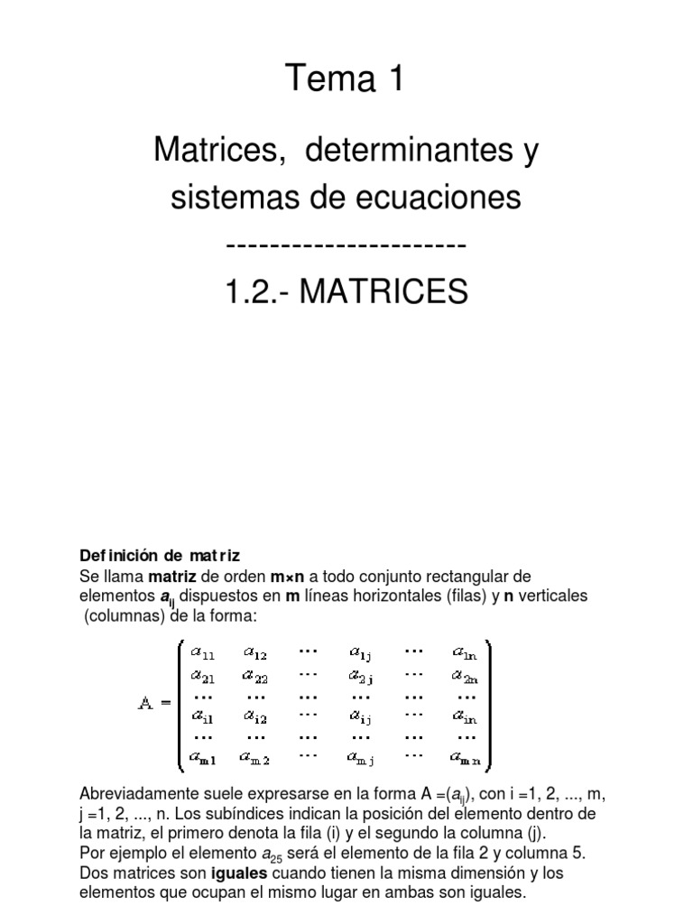 Definición y tipos de matrices, así como operaciones básicas con ellas ...