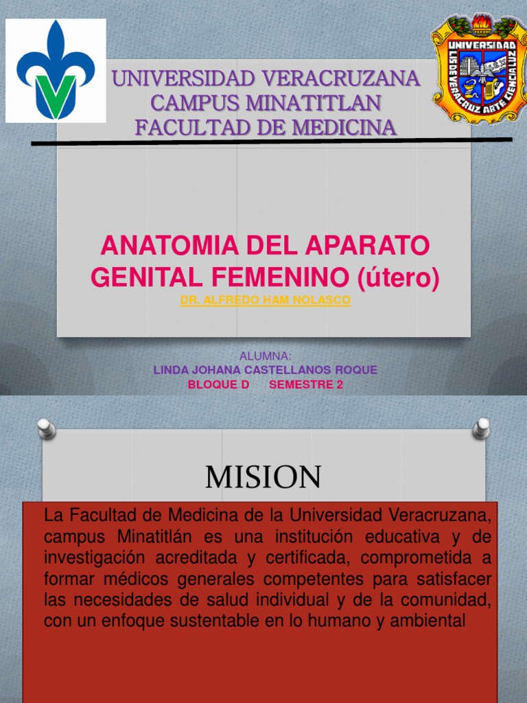 Utero Pdf útero Vagina